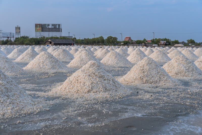 White Salt Piles in the Vast Salt Fields Stock Photo - Image of fields ...