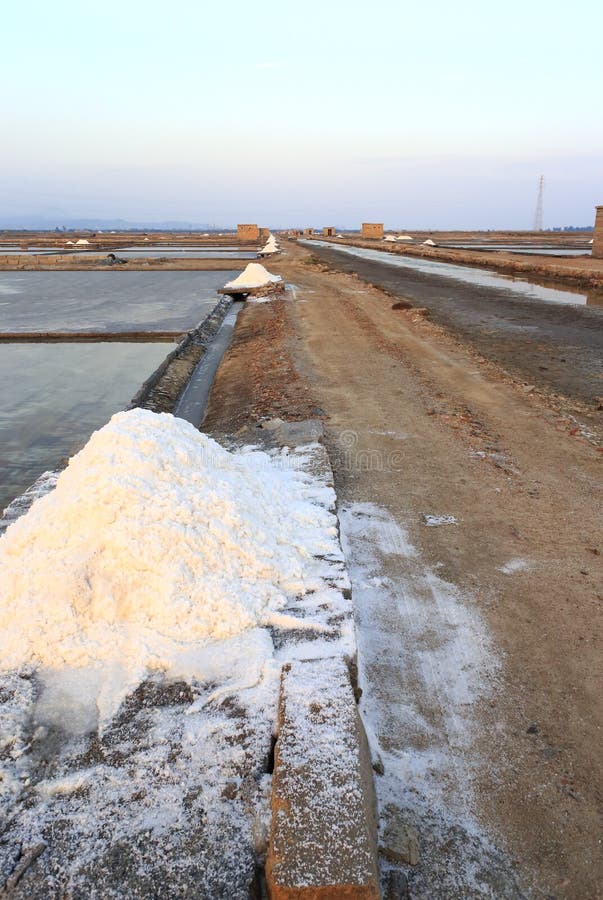 Salt fields in autumn stock photo. Image of reflects - 34923334