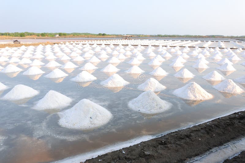 Salt fields stock photo. Image of natural, industry, coastline - 31803962