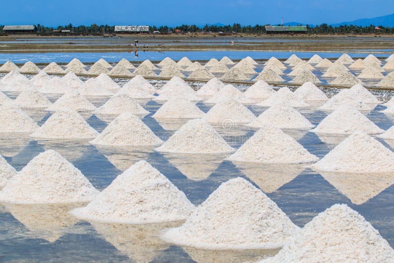 Salt fields stock photo. Image of ingredient, reflection - 57921514
