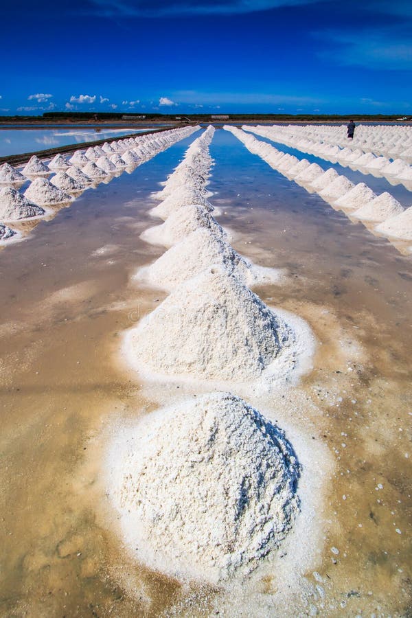 Salt fields stock photo. Image of mining, saline, ocean - 57973878