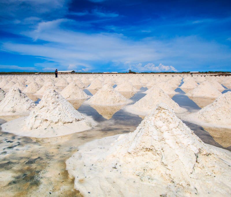 Salt fields stock photo. Image of cloud, salted, salty - 35734638