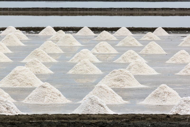 Salt Fields On The Shores Of The Dead Sea, Israel Stock Image - Image ...