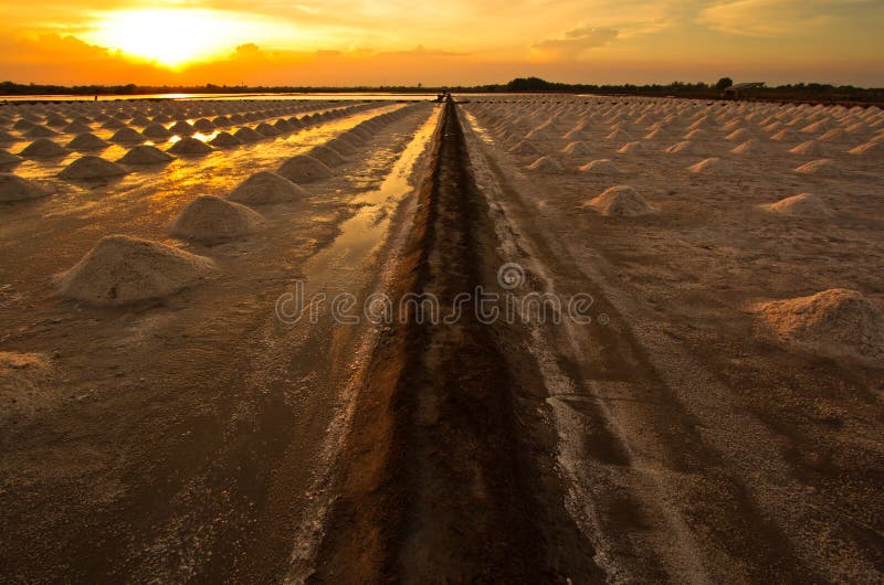 Salt fields in the sunset stock image. Image of field - 35733977