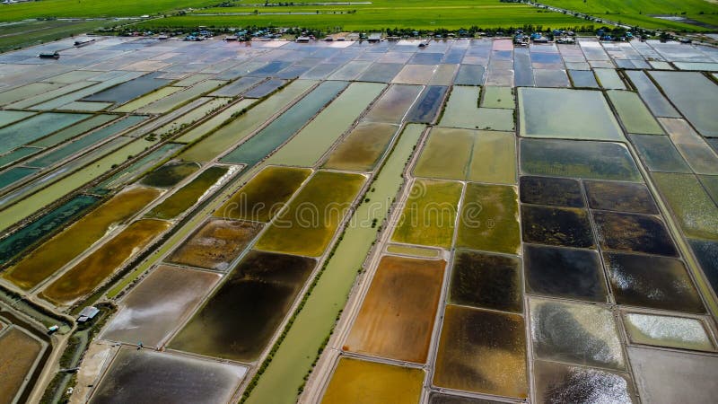 Salt Fields in Thailand, Asia, Seen from Above Stock Photo - Image of ...