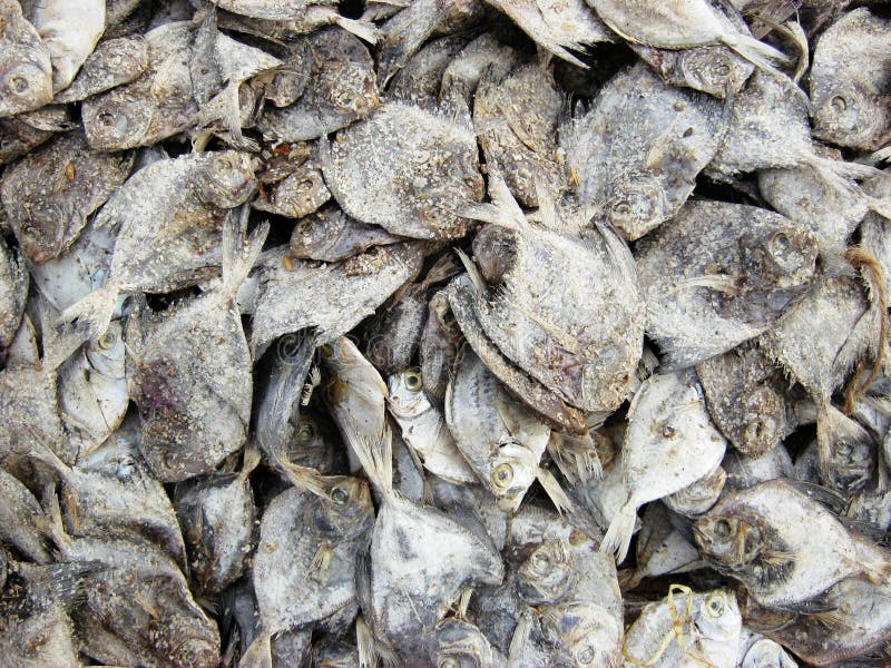 Salt fish stock photo. Image of codfish, fresh, delicious - 26571548