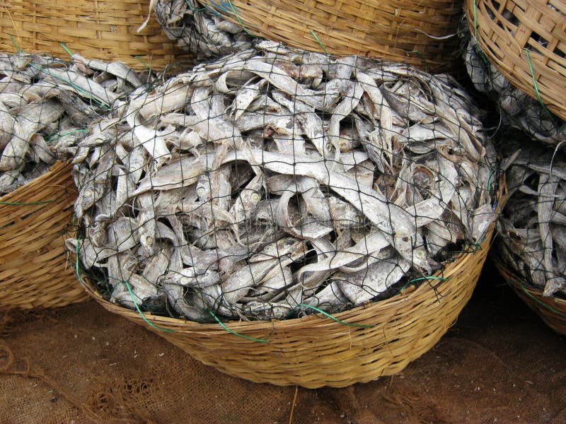 Salt fish stock photo. Image of codfish, fresh, delicious - 26571548