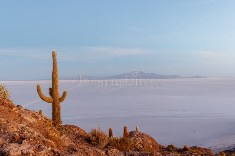 Salt Flat and Desert of Uyuni with Mountain Landscape Bolivia Uyuni ...