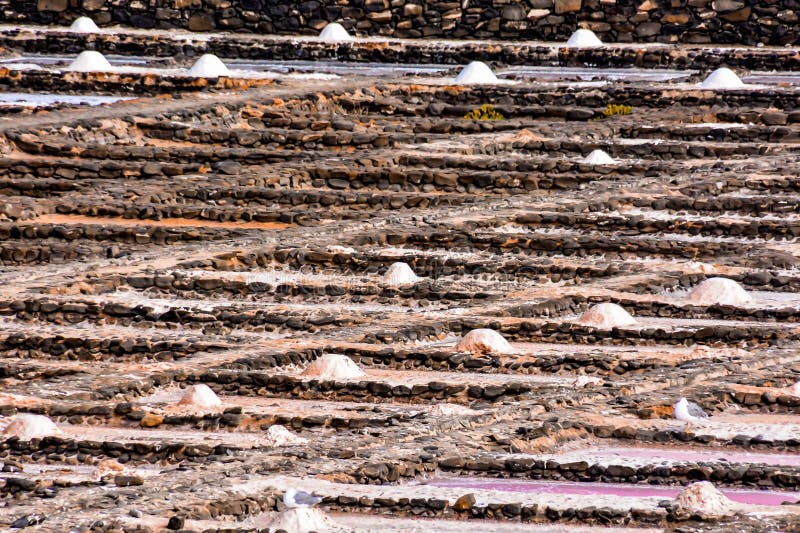Salt Flat Field stock photo. Image of utah, bonneville - 313129348