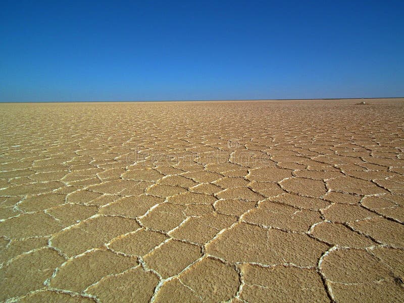 Salt Flat Polygons in Desert Stock Photo - Image of flat, dasht: 183871930