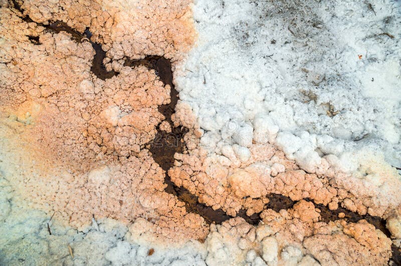Salt Formation Near Dead Sea in Jordan Stock Image - Image of arabia ...