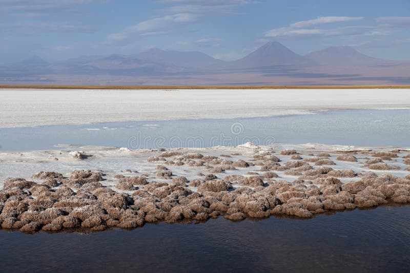 Salt Formation on the Laguna Tebinquiche Stock Image - Image of ...