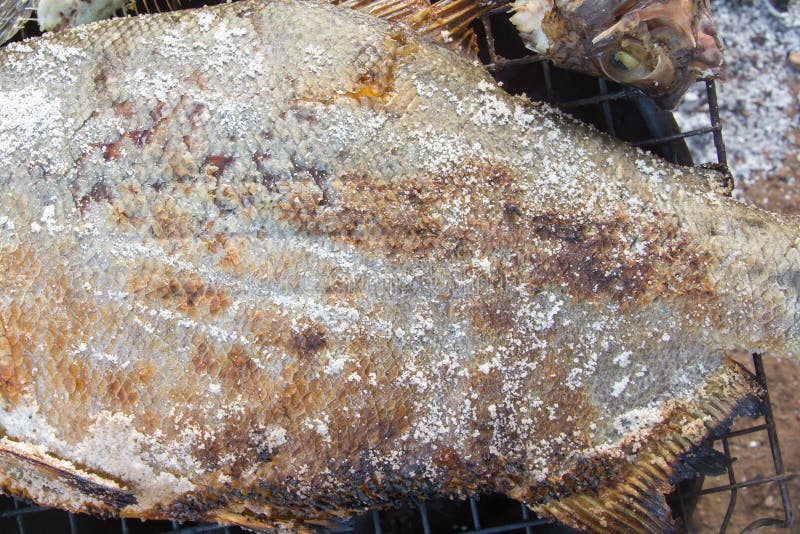 Salt grilled fish stock image. Image of health, shape - 179940609