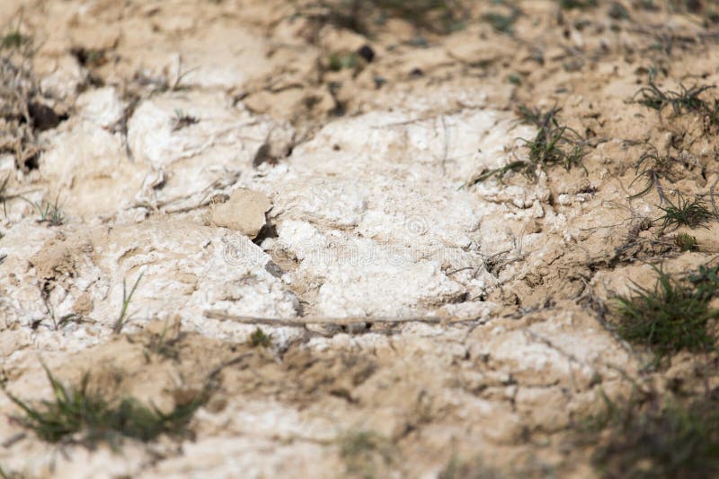 Salt on the Ground in Nature Stock Image - Image of desert, climate ...