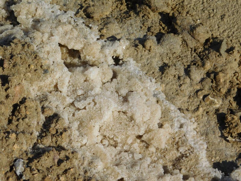Salt on the ground stock image. Image of morning, field - 61773471
