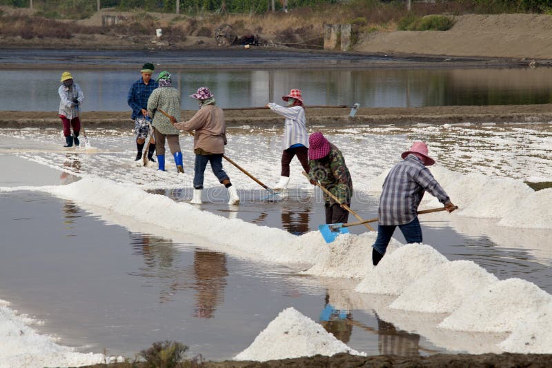 Salt Harvesting - Thailand editorial photography. Image of places ...