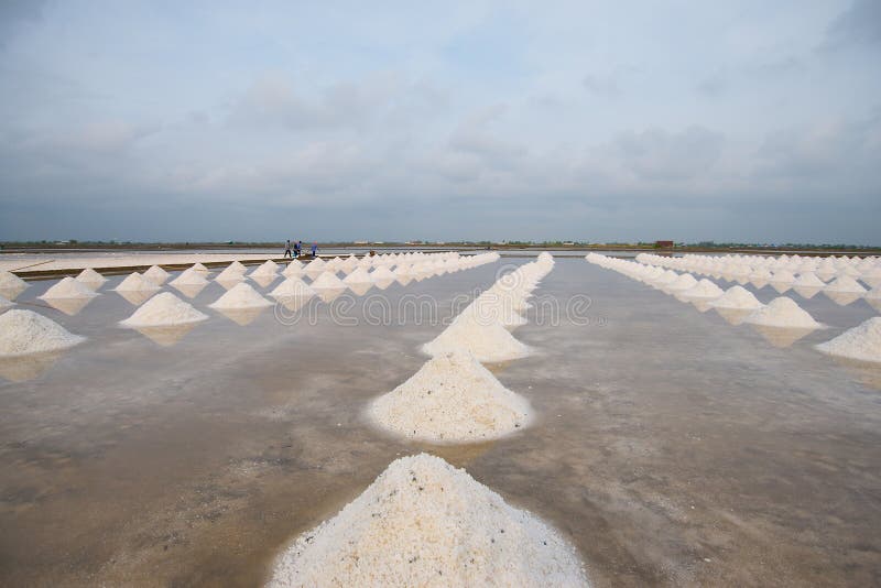 Natural Images from Farming Using the Salt Method from Nature Stock ...