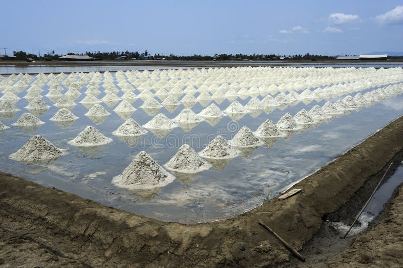 Salt heap stock image. Image of occupation, flats, harvesting - 39720789