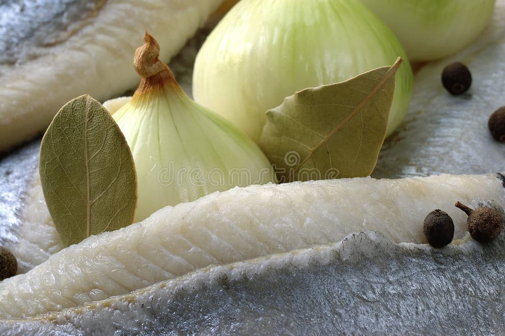 Salt Herring & Ingredients Stock Image - Image of kitchen, onion: 1469189