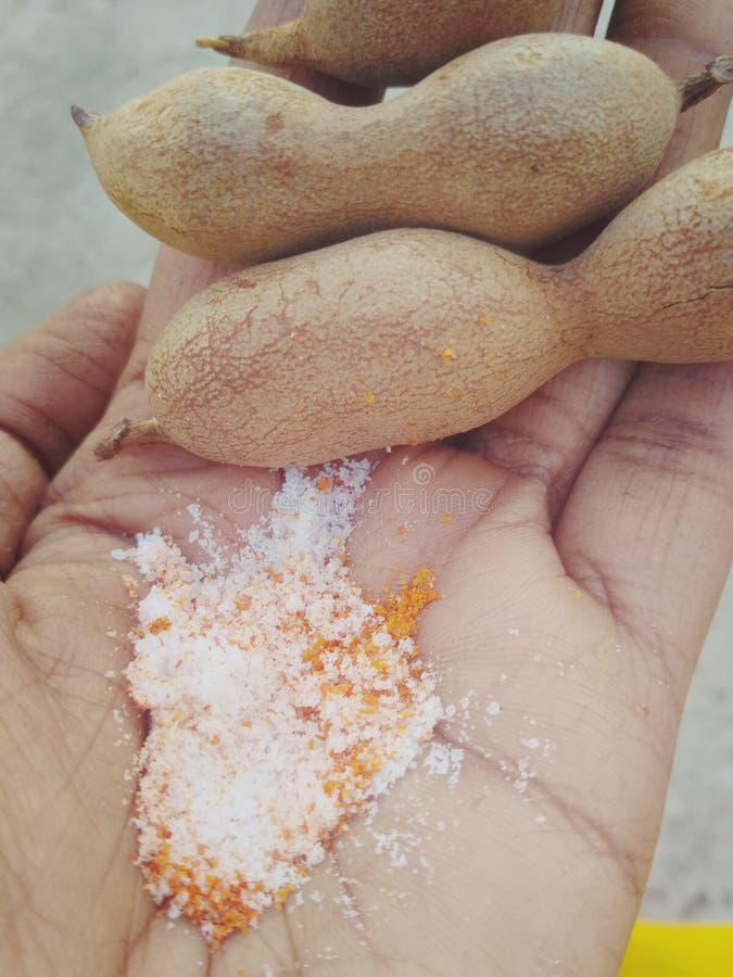 Salt imli stock image. Image of imli, salt, powder, chilly - 191301433