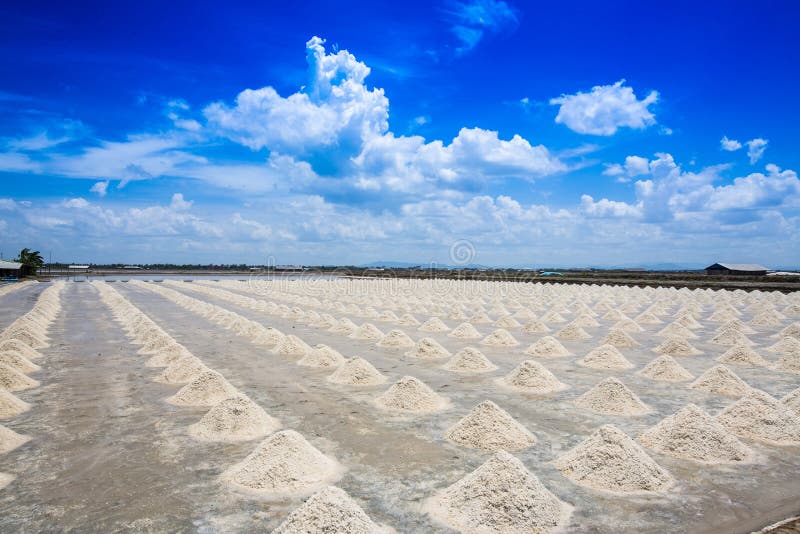 The Salt Industry is the Largest Salt. Stock Image - Image of natural ...