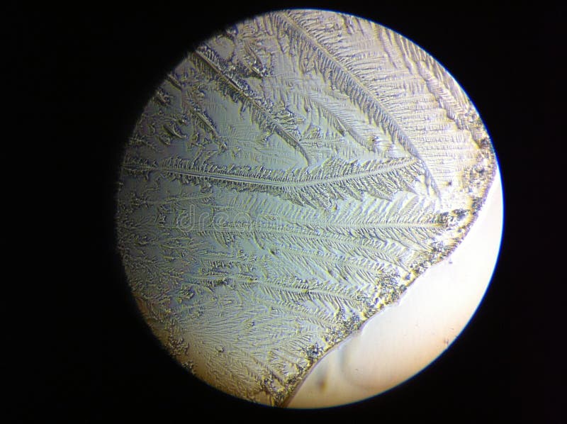 Salt kristall i mikroskop fotografering för bildbyråer. Bild av lösning ...