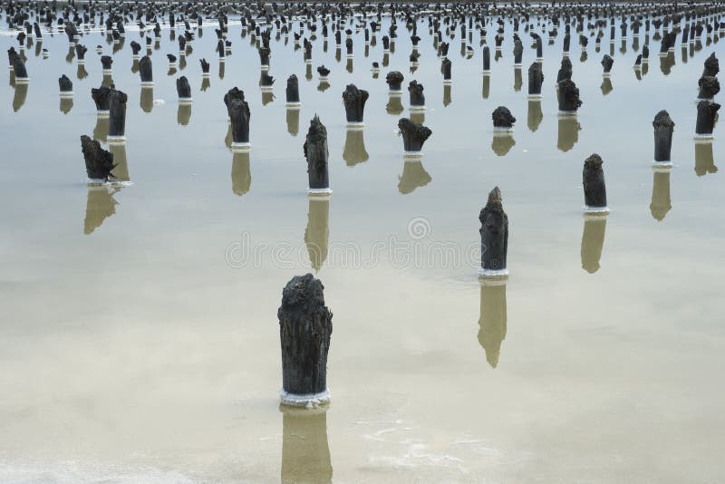 Salt lake Baskunchak stock photo. Image of repetition - 22968922