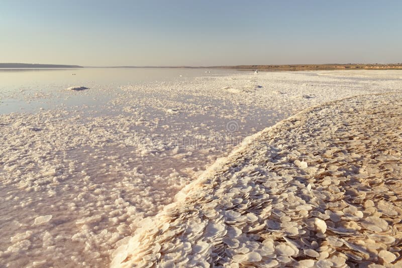 Salt Lake with Salt Crystals in the Form of Plates on the Shore Stock ...