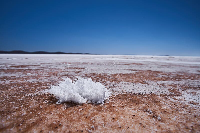 Salt Lake stock image. Image of south, gairdner, camping - 95122467