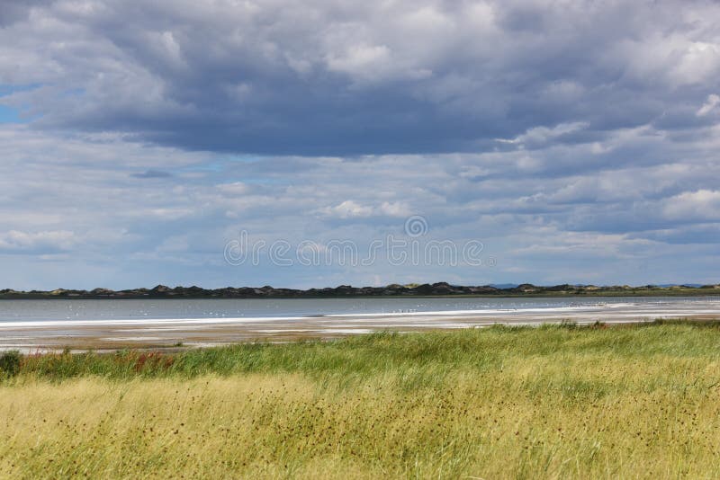 The salt lake in the Gobi stock photo. Image of desert - 79613268