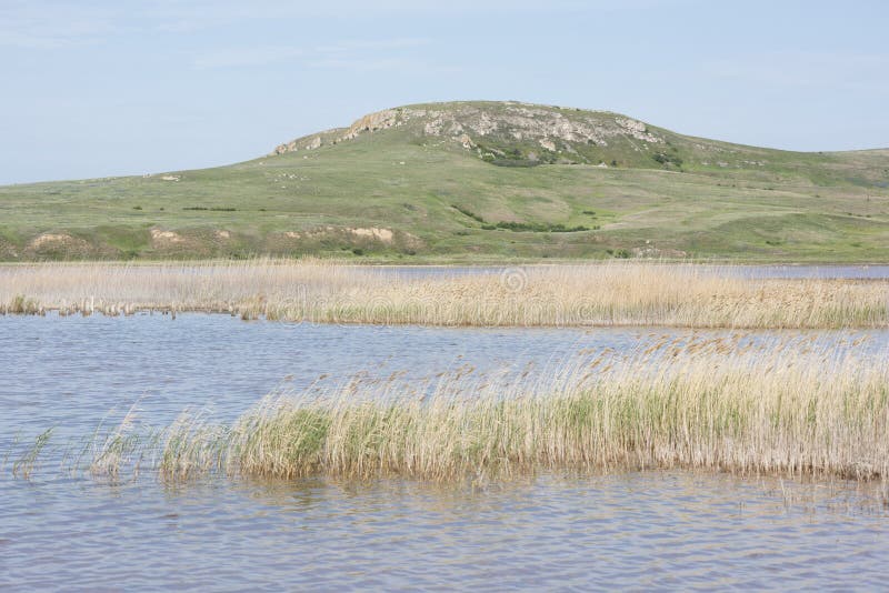 Salt Lake and Grass Thickets in Spring in Crimea Stock Photo - Image of coastline, outdoor ...