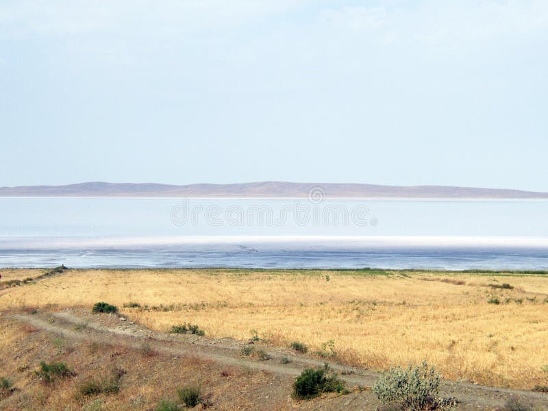 Hypersalinelake Stock Photos - Free & Royalty-Free Stock Photos from ...