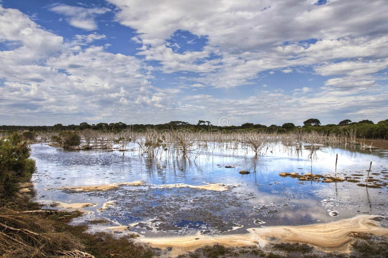 Salt Lakes stock image. Image of water, summer, clouds - 59119177