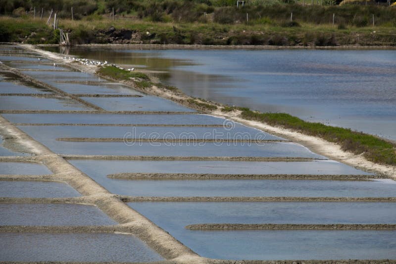 Salt Marsh in Brittany in Summer Stock Image - Image of rough, pattern ...