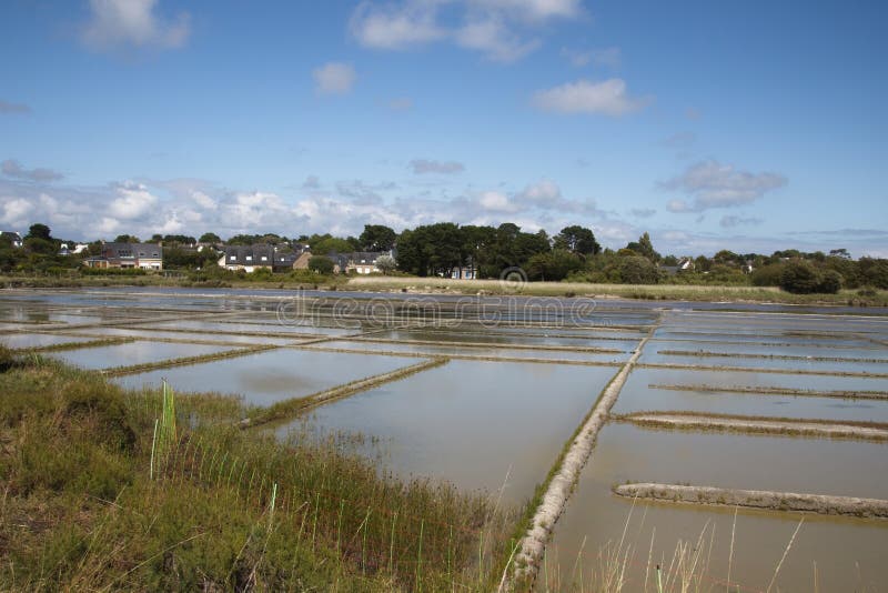Salt Marsh in Brittany in Summer Stock Photo - Image of architecture ...