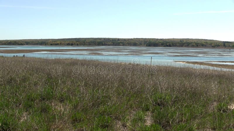 Salt marsh from cliff stock footage. Video of rural - 347566306