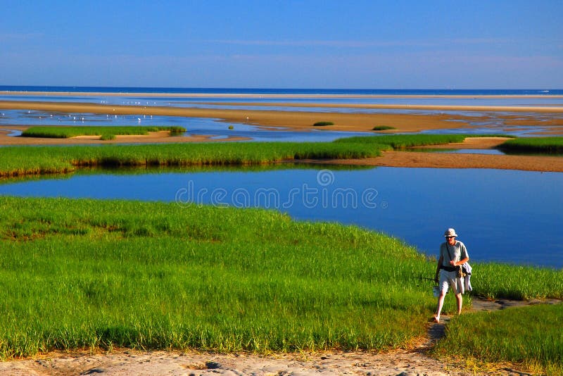 Through the Salt Marsh editorial image. Image of hiking - 88337285