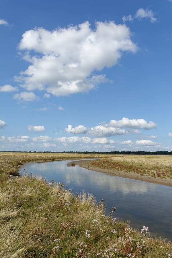 Salt Marsh at North Sea,North Frisia,Germany Stock Image - Image of ...