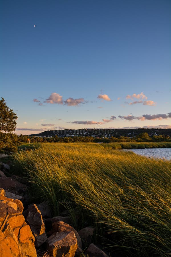 Salt Marsh stock photo. Image of salt, sunset, background - 59327736