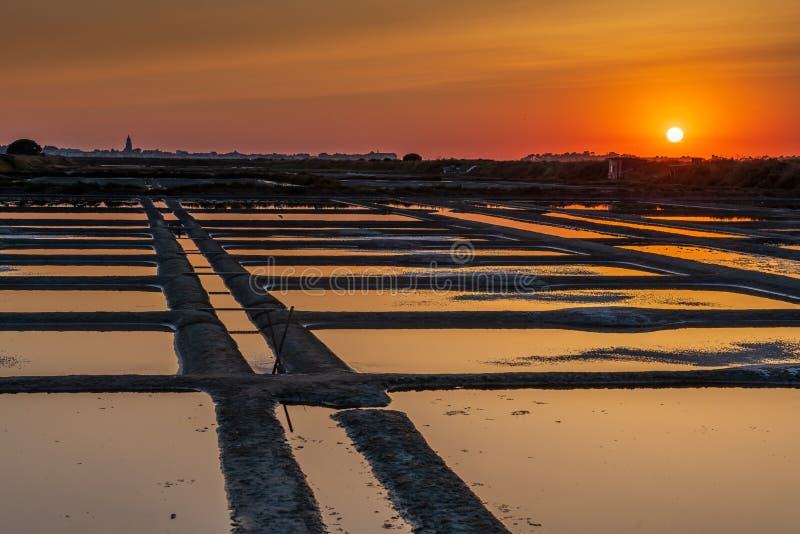 Marsh sunset stock photo. Image of sunset, gold, clump - 485352