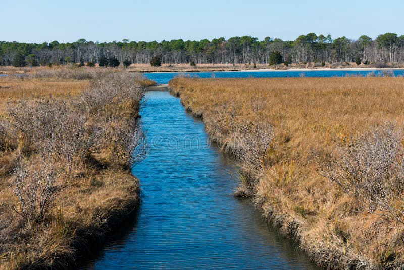 Salt Marshes stock image. Image of autumn, foliage, nature - 63523571