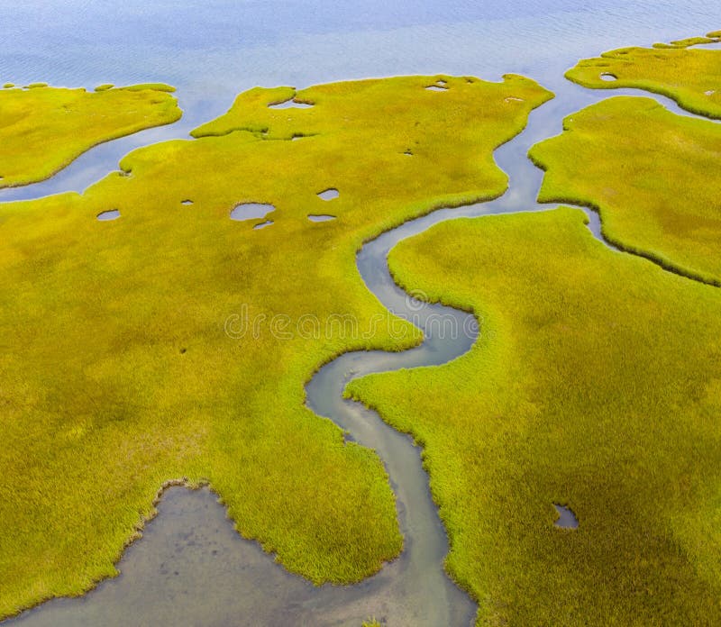 Aerial View of Channels Winding through Healthy Salt Marsh Stock Image ...
