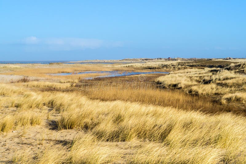 Salt Marshes on the North Sea Stock Image - Image of scenics, mineral ...