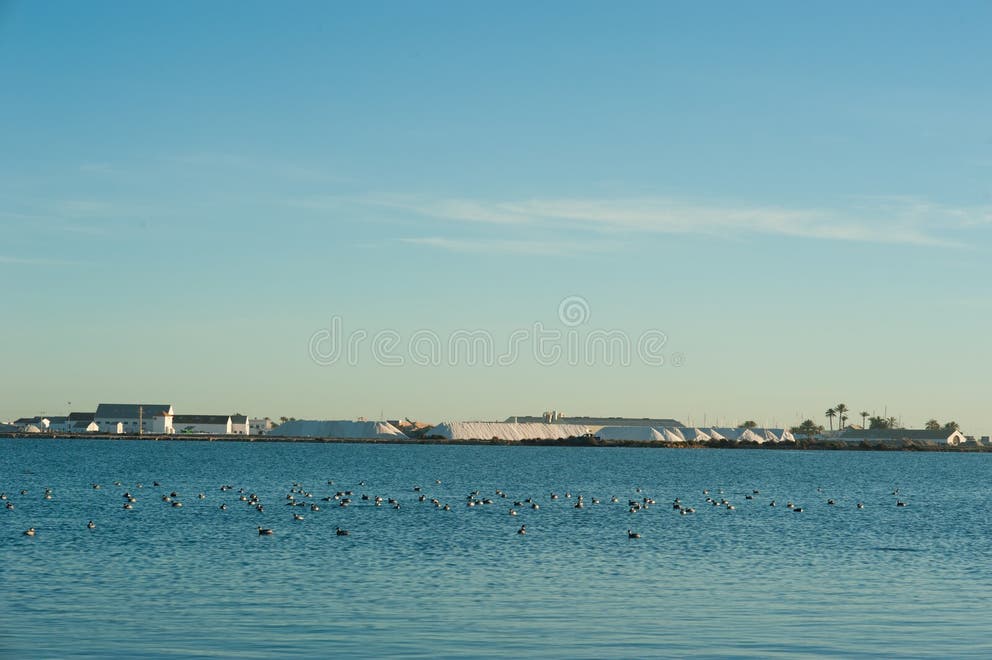 Salt mine stock image. Image of landscape, mediterranean - 23022115