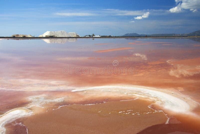 Salt area stock photo. Image of camargue, nature, salt - 2311612