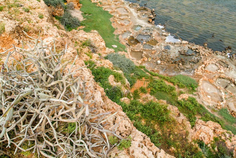Salt Mining on the Island of Socotra Stock Image - Image of rock ...