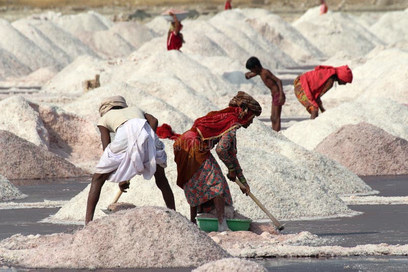 Salt Mining on Sambhar Lake in India Editorial Stock Image - Image of ...