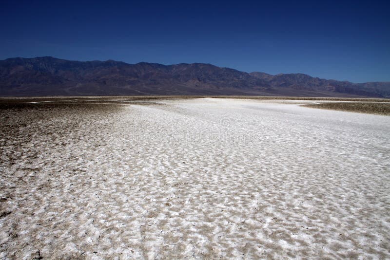 Salt and more salt stock photo. Image of nature, death - 13134470