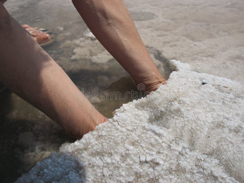 Salt Nature stock photo. Image of sediments, salty, crystalline - 47463360