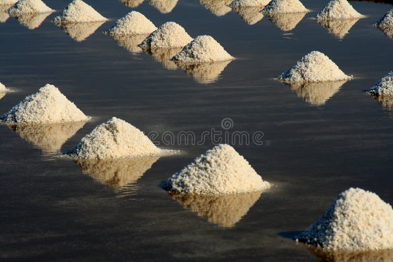 Salt pan stock photo. Image of water, salt, travel, cambodia - 17399066
